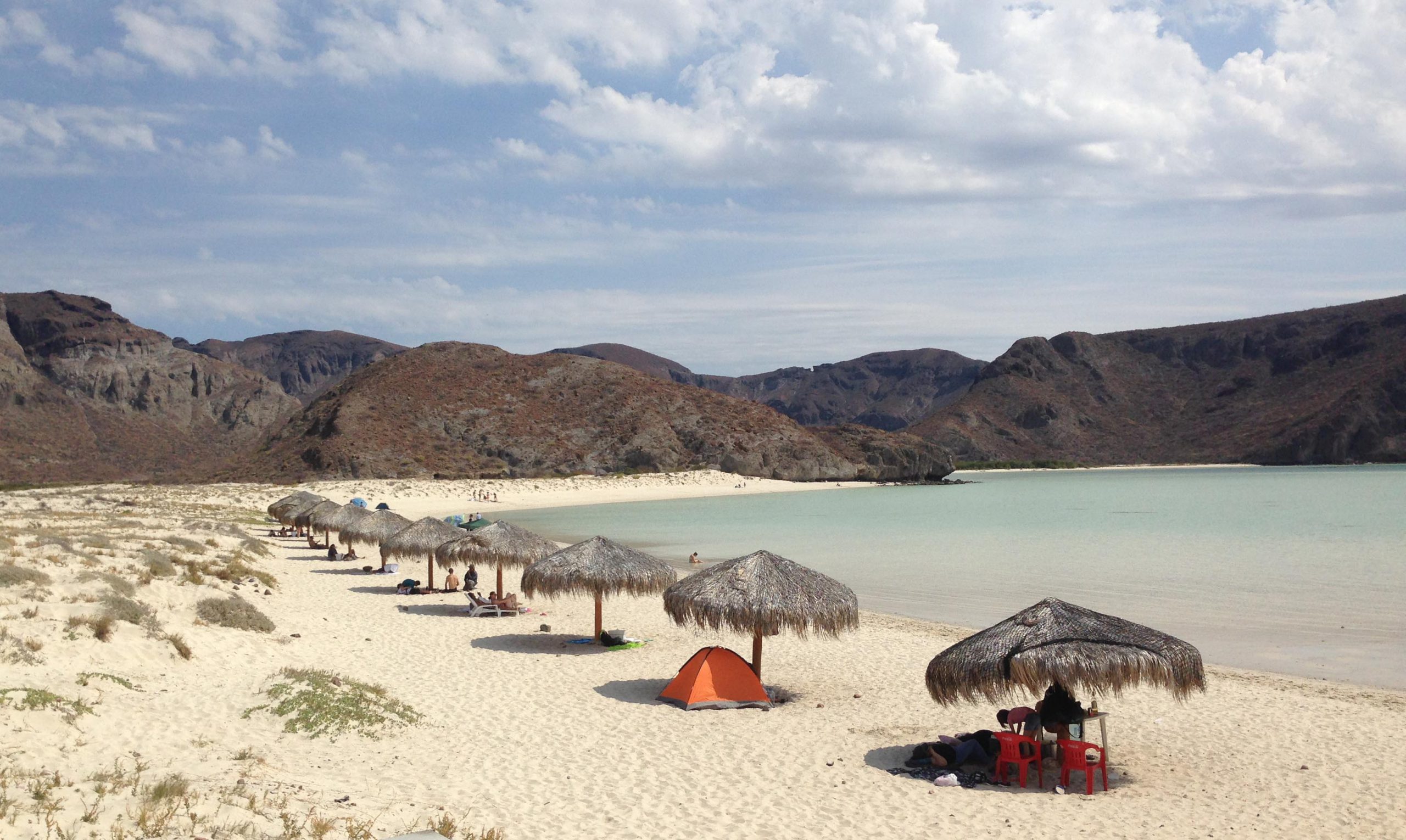 Our People - Cyntergy