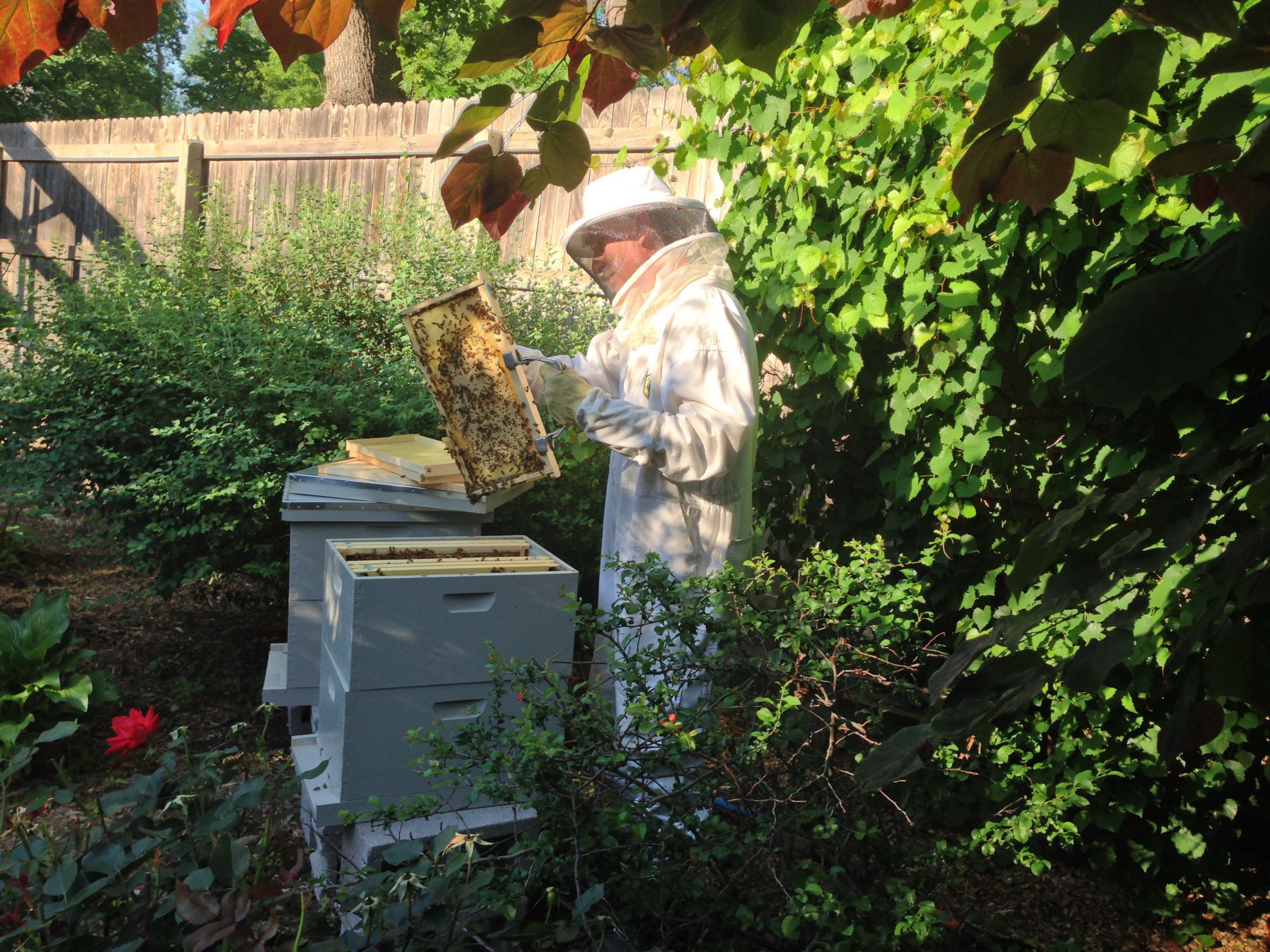 Our People - Cyntergy